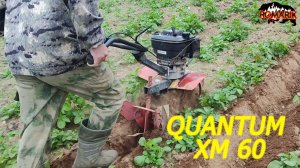 Окучивание картошки мотоблоком – больше никакой ручной работы!