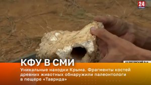 Уникальные находки Крыма. Фрагменты костей древних животных обнаружили в пещере «Таврида»
