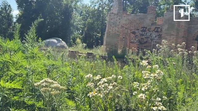 🌳 Зелёное гетто: получит ли заброшенный Бутовский парк в Макеевке новую жизнь?