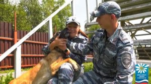 Инспекторы-кинологи новокузнецкой полиции присоединились к онлайн-акции МВД России «Это семья»