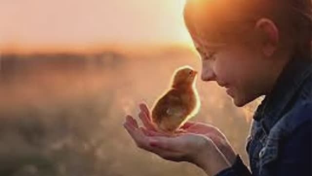 "А может быть, я из другого века" –1