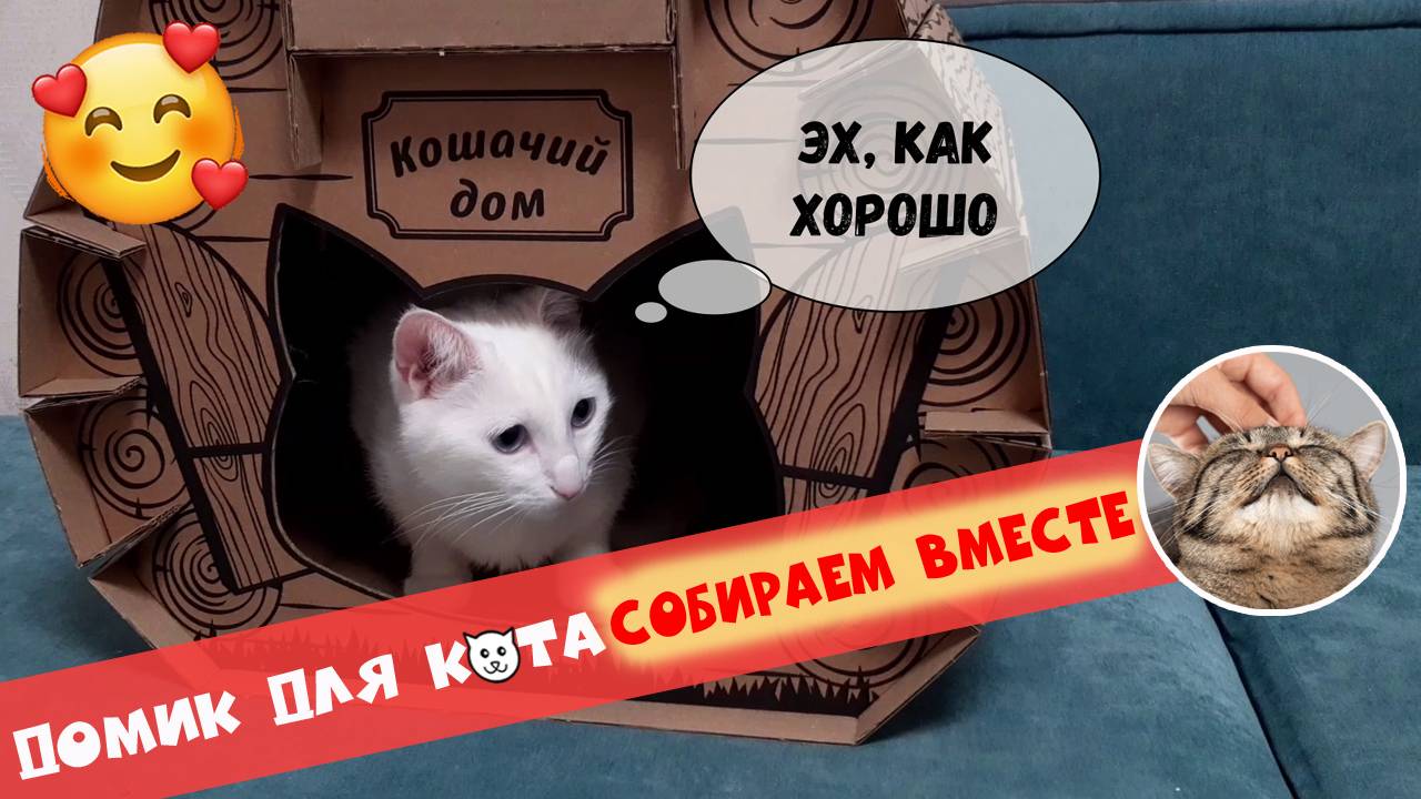 Домик для кота собираем вместе😺🏠🛠️