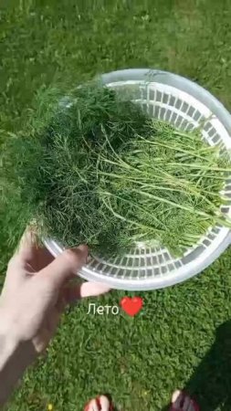 лето❤
