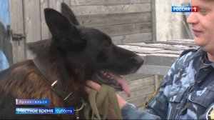Вести Поморья_Россия 1_Служебные собаки УФСИН выходят на пенсию