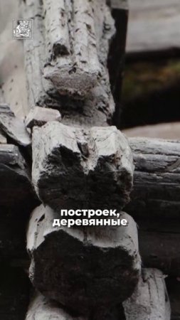 Неужели наша родина — Полесье?