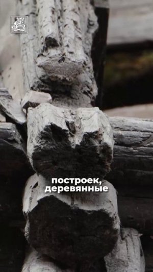 Неужели наша родина — Полесье?