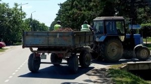коллеги