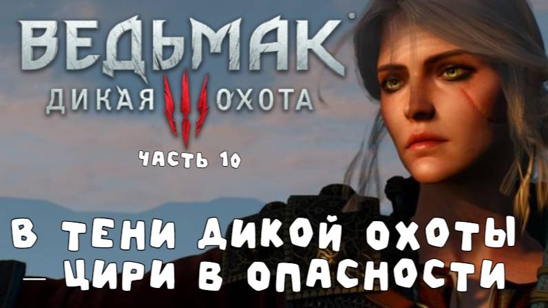 Ведьмак 3: Нити Судьбы – Поиски Цири (часть 10)