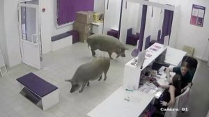 ЗАКАЗЫ НЕ ЗАБРАЛИ