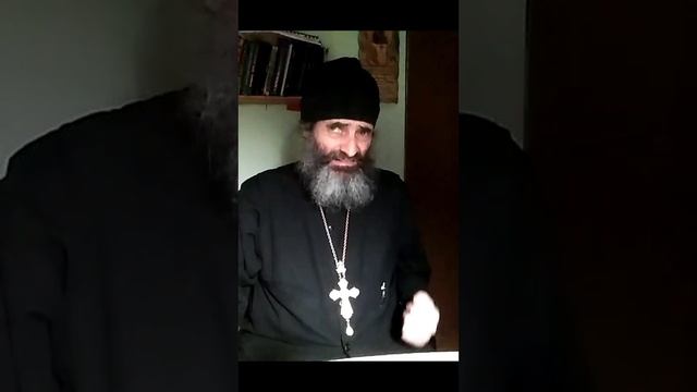Взгляд на современность: муха и пчела