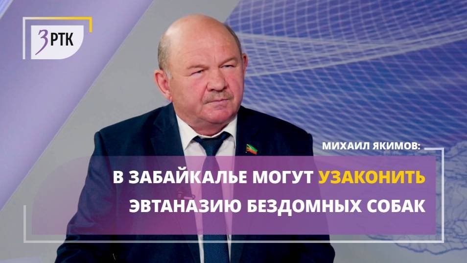 в Забайкалье могут узаконить эвтаназию бездомных собак
