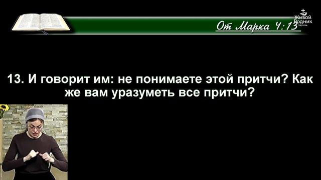 Какие у нас плоды?