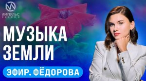Эфир. День семьи. Юбилейная выставка. Городские цветы