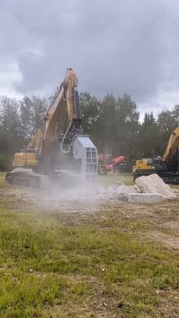 📍«Профессионал» – участник Demolition Day-2025  #shrots #professional #excavator #shortsvideo