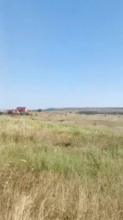 На Ставрополье снова загорелось поле