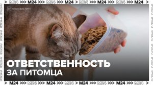 Владельцев домашних питомцев ждет ужесточение ответственности - Москва 24