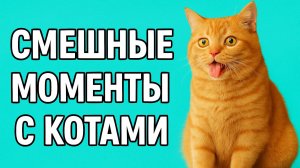 Смех до слёз: лучшие приколы №166
