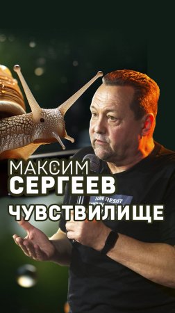 Чувствилище. Максим Сергеев.