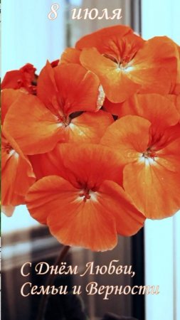 С Праздником, друзья! С Днём Семьи, Любви, Верности и Света!🧡