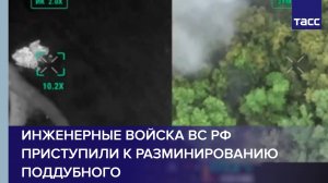 Инженерные войска ВС РФ приступили к разминированию Поддубного
