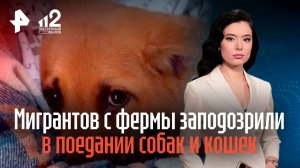 Мигрантов с подмосковной фермы заподозрили в поедании собак и кошек