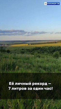 В поисках вкусных ягод
