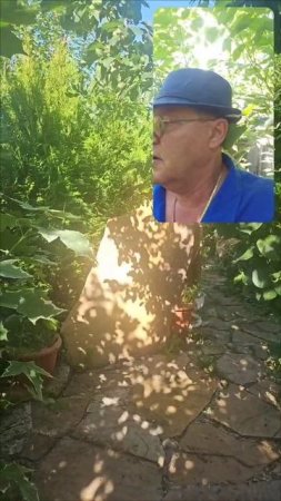 Помогите !!!! Кому помог приворот в Красноярске???Маг Николаев?