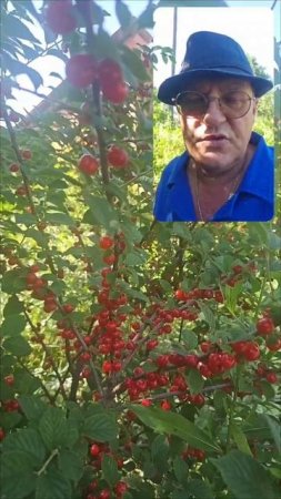 Сильный маг Николаев .Настоящие отзывы в Красноярске.Сильный приворот мужа, жены?