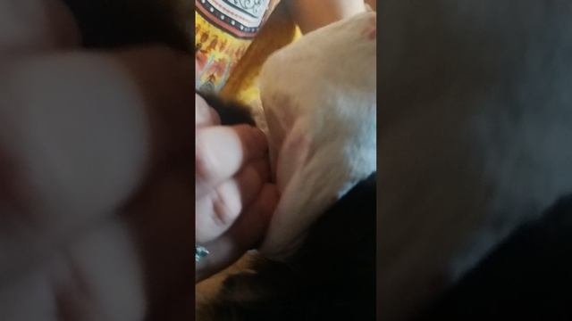 1000080073.mp4
