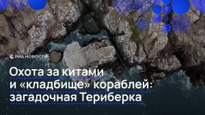 Охота за китами и "кладбище кораблей": загадочная Териберка
