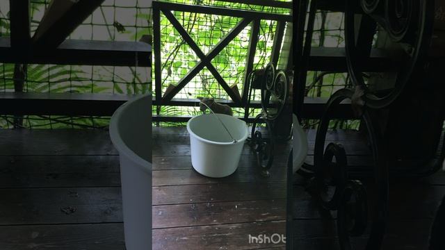 Неопознанный объект 🪣