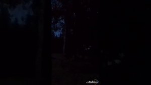 1000216599.mp4