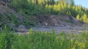 АРХАНГЕЛЬСКАЯ ОБЛАСТЬ ПОШЛИ ГРИБЫ
