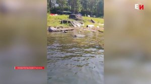 АВАРИЙНЫЙ ПАРОХОД В КАЗАЧИНСКОМ РАЙОНЕ ОТБУКСИРОВАЛИ