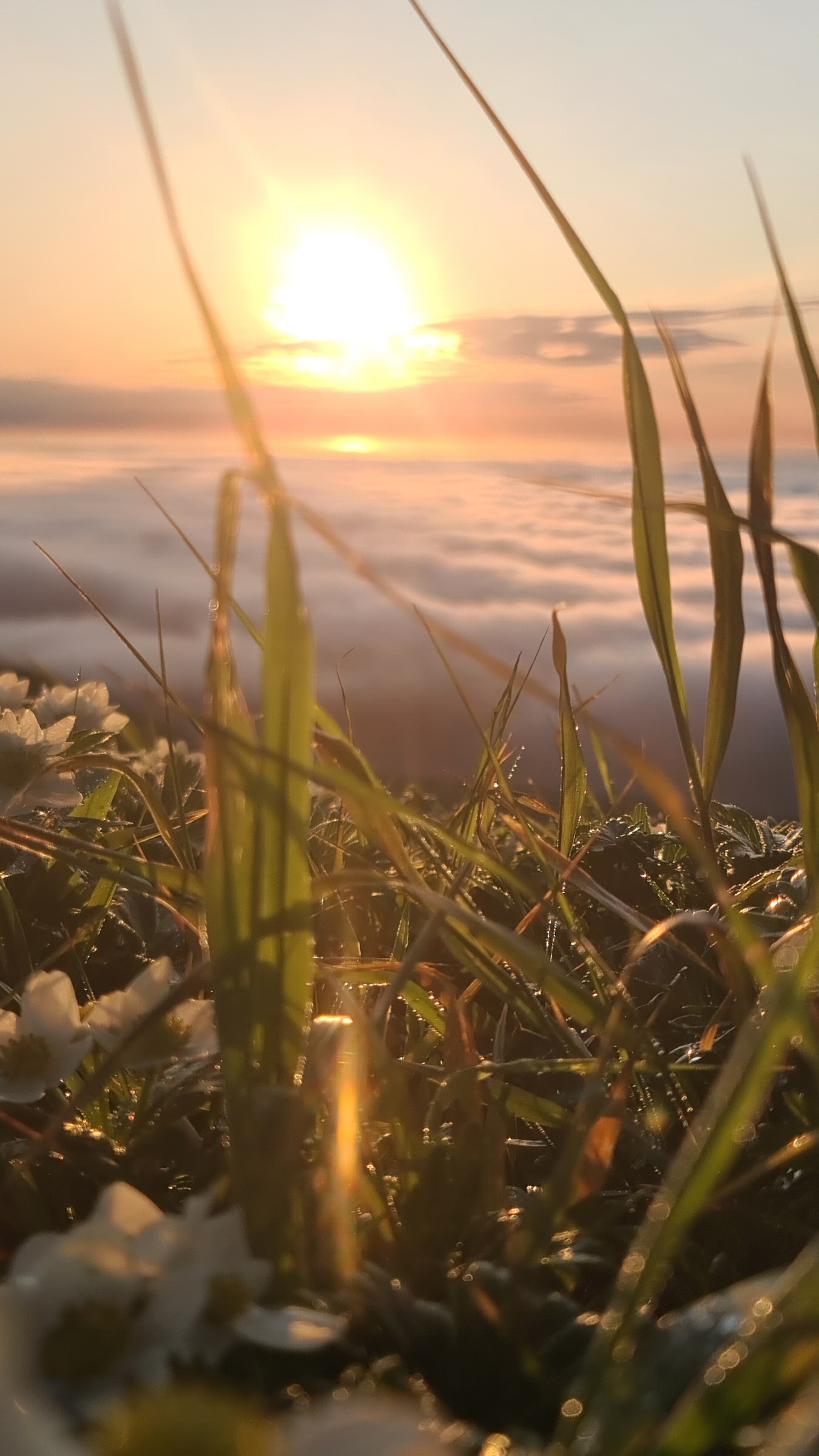 Путешествуй, мир такой великолепный и разнообразный.