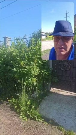 Настоящие отзывы маг Николаев в Красноярске?