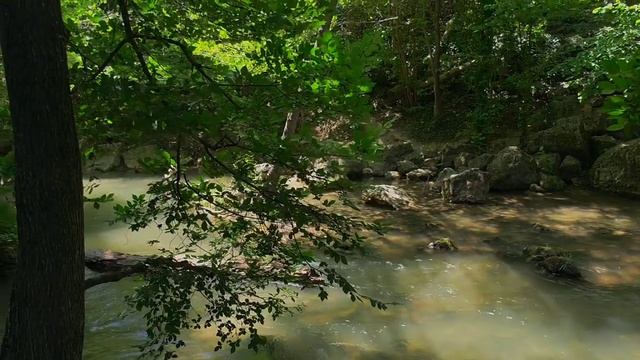 Максимова дача и не только.