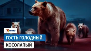 Гость голодный, косолапый: медведи выходят к людям от нехватки еды