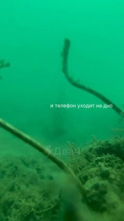 IPHONE И КРАБ (читать описание)