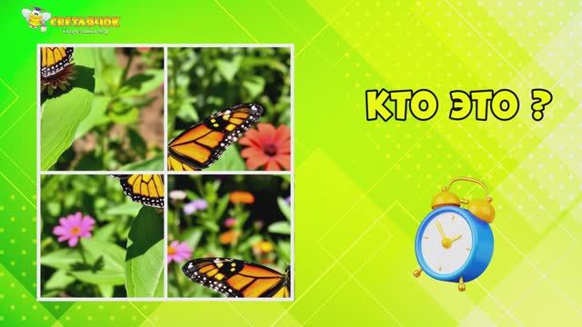 Игра-Узнай насекомое