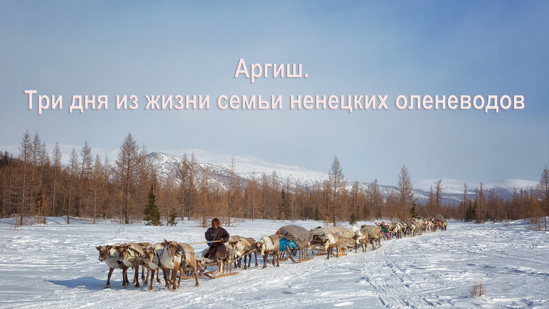 Аргиш. Три дня их жизни семьи ненецких оленеводов