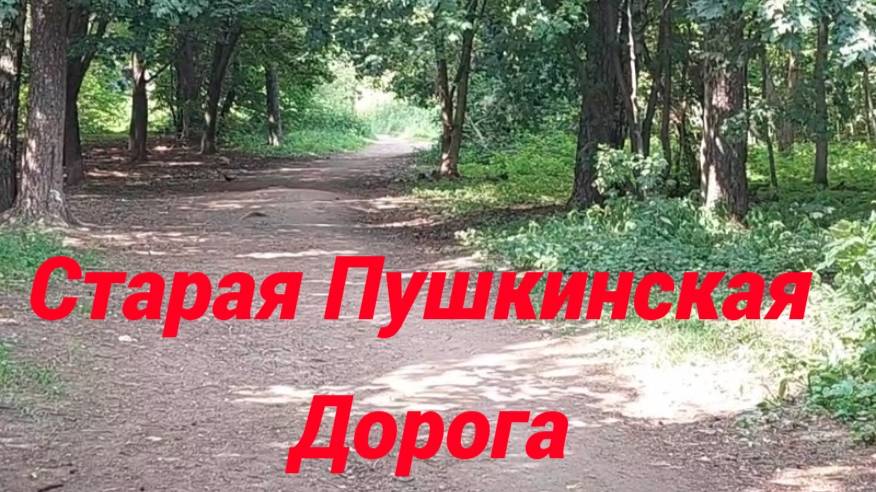 Старая Пушкинская дорога.