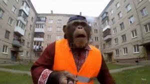 КОГДА НАШЕЛ РАБОТУ