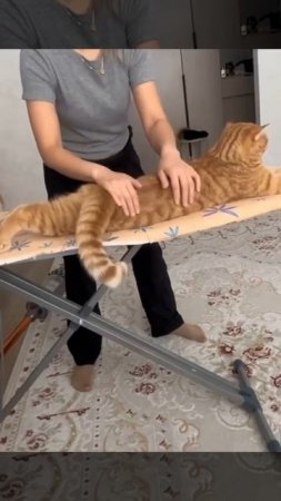 Гладильня