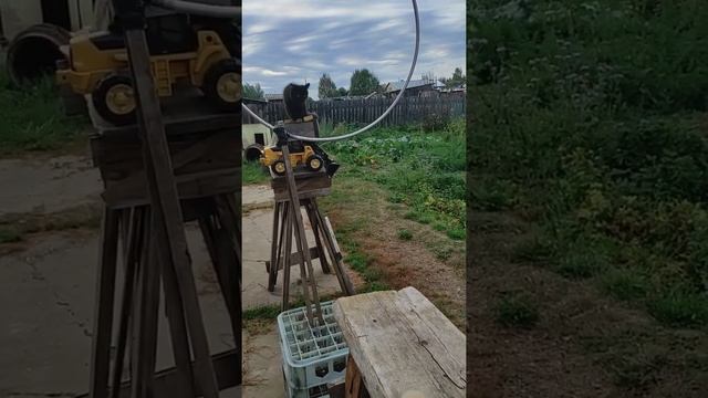 Чернуха и Черныш