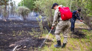В Югре локализовали пожар после грозы