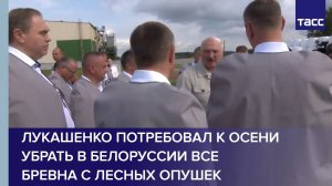 Лукашенко потребовал к осени убрать в Белоруссии все бревна с лесных опушек