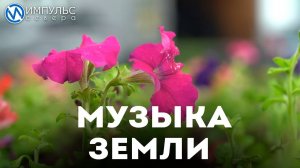 Цветы – музыка земли