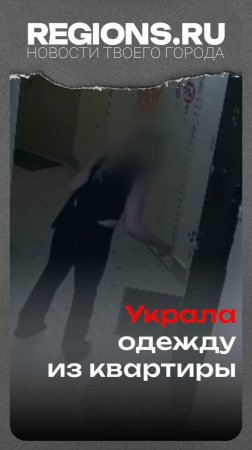 Украла одежду из квартиры