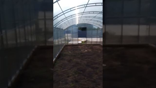 Установил на дачном участке большую теплицу
